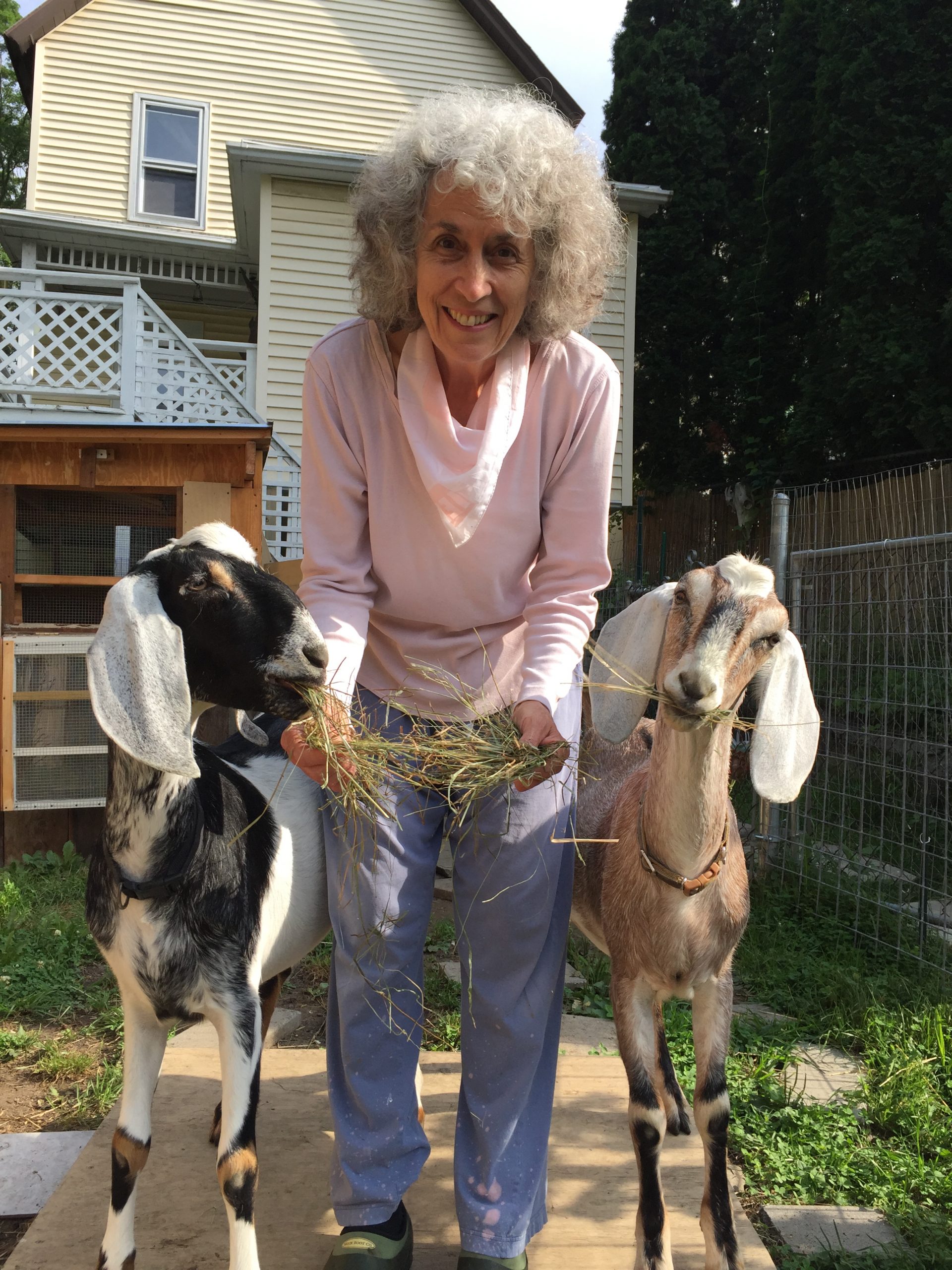 Contact me – Susan Martin Maffei